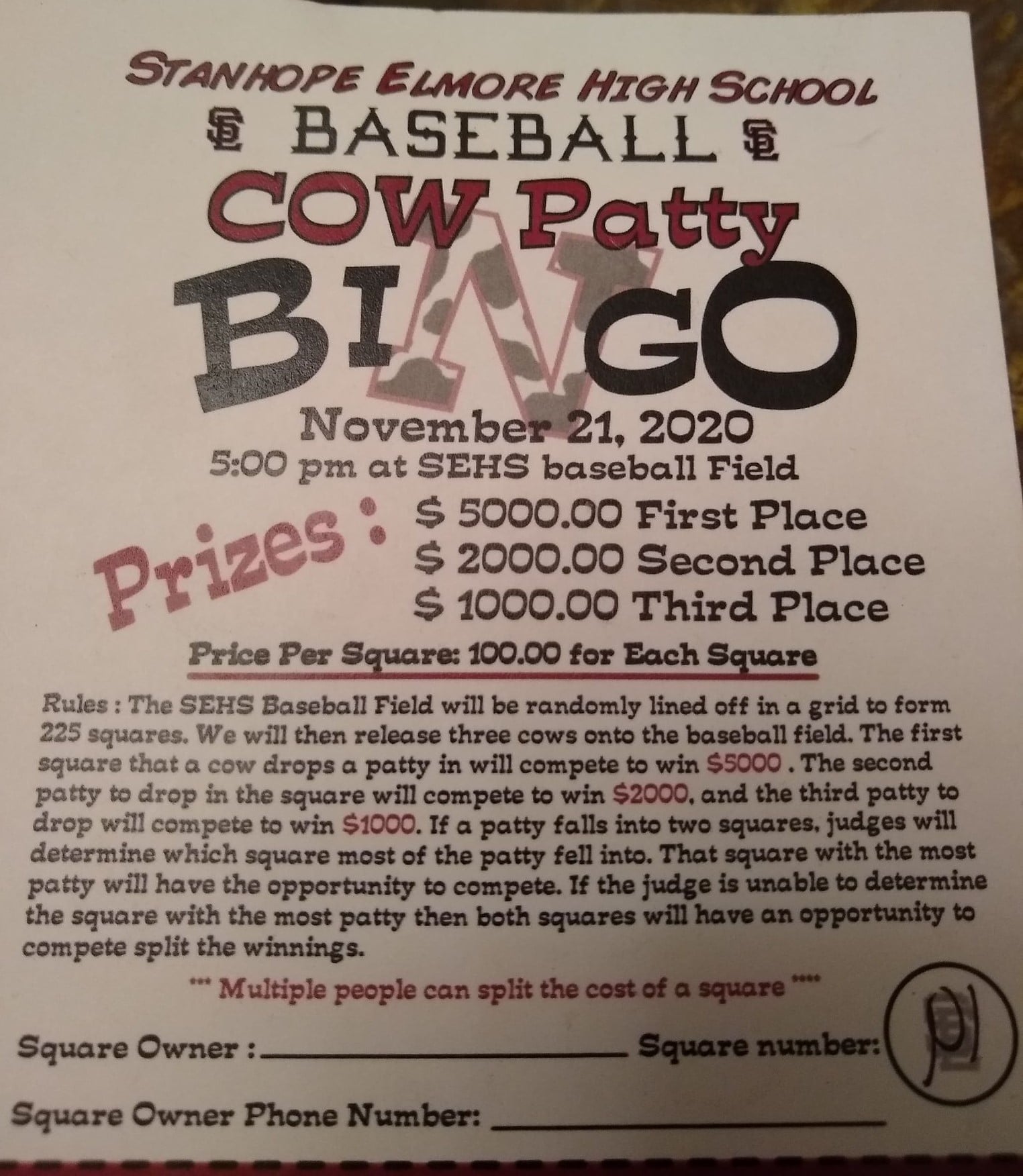SEHS Baseball Team Selling Tickets For Cow Patty Bingo Fundraiser ...