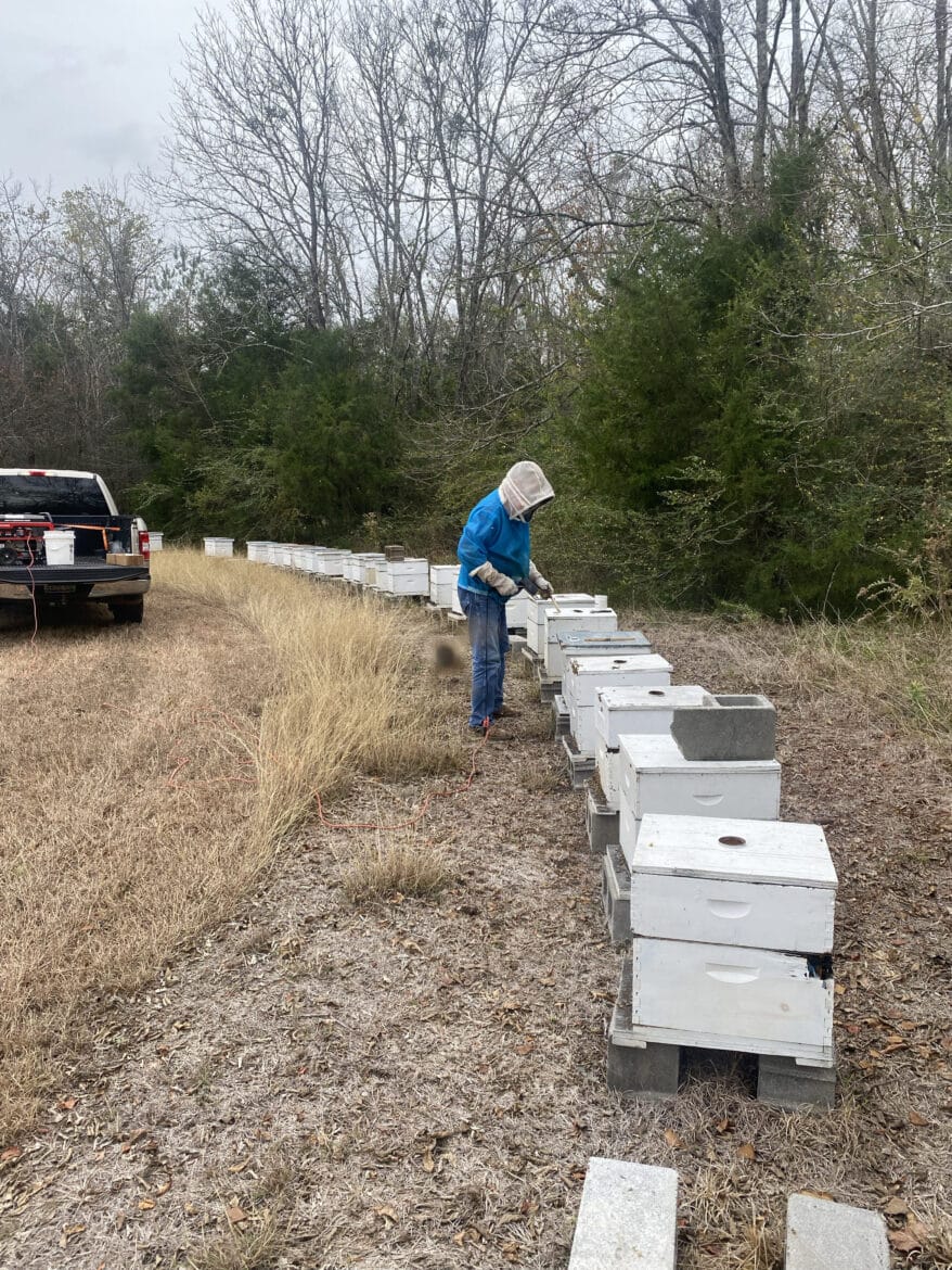 Local Beekeeper, Allen Mills, Keeps His Passion For Honeybees Through ...