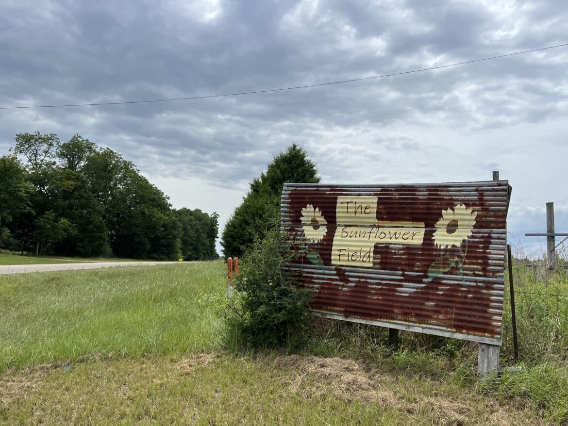 Autaugaville’s Field Of Sunshine - Elmore-Autauga News