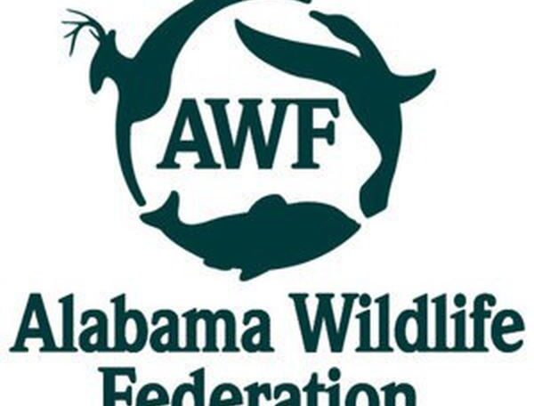Online Auction For AWF Now Live! Wild Game Cook Off Is Tonight In ...